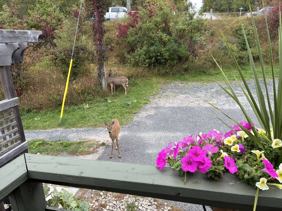 Nature's Inn Kenora - Your Home Away From Home